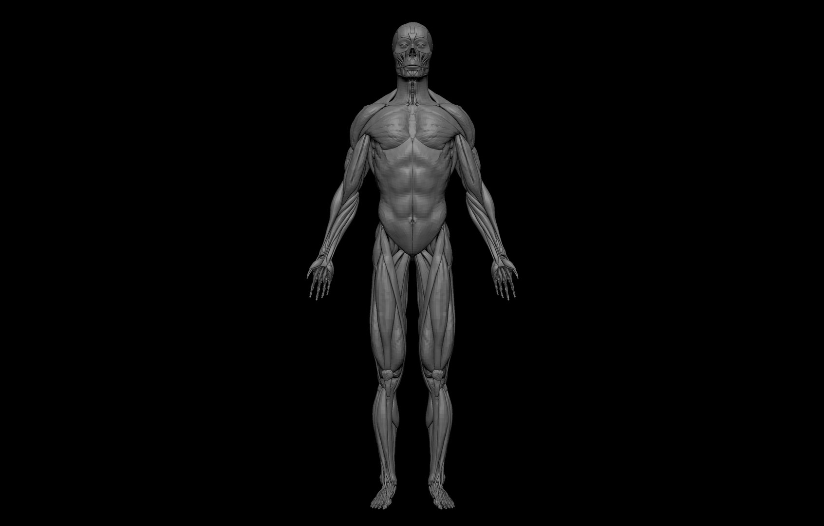 3D Realistic Male Basemesh Collection Model - TurboSquid 1729052