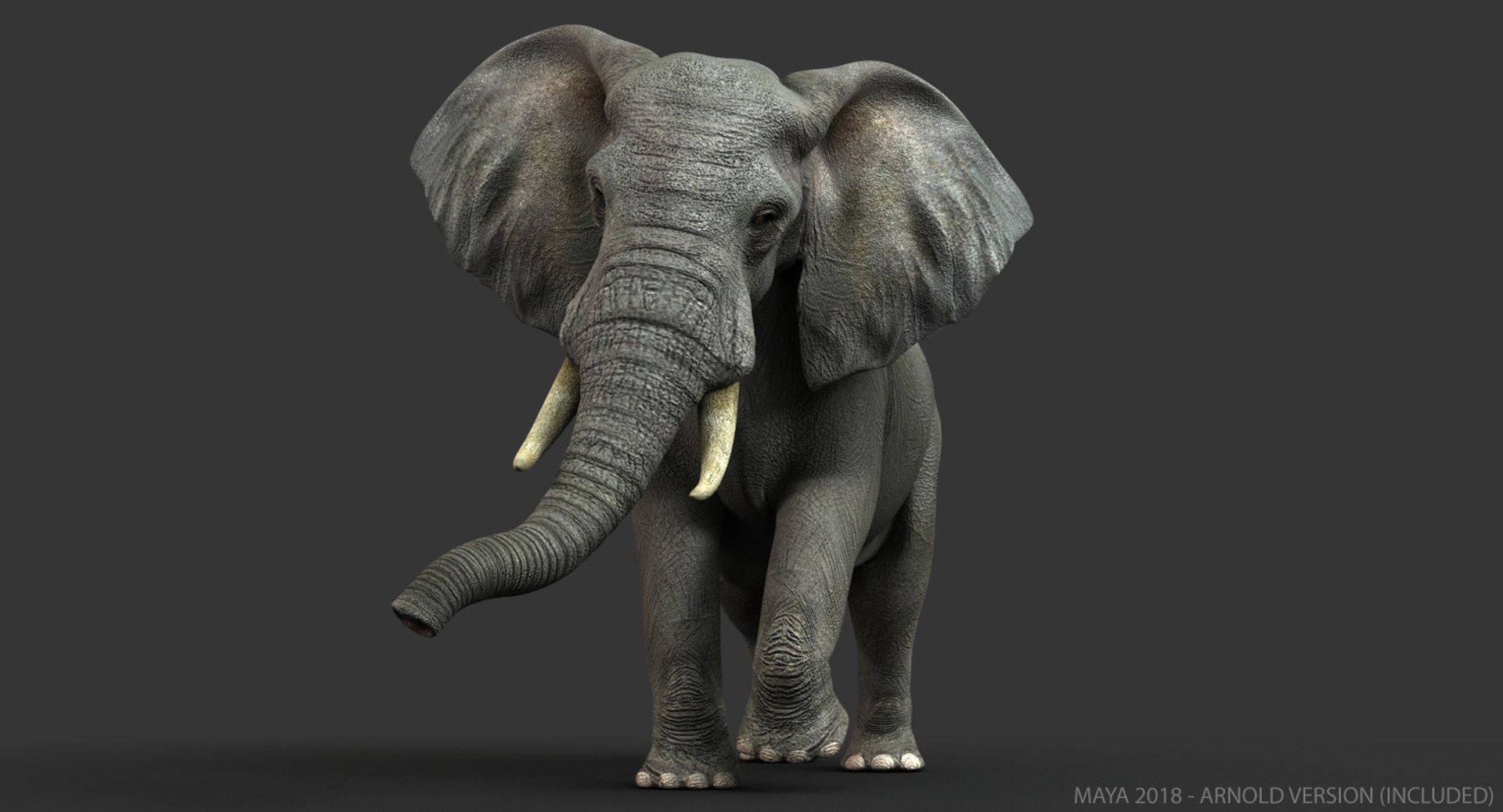 3d Photorealistic African Elephant Rigged Model