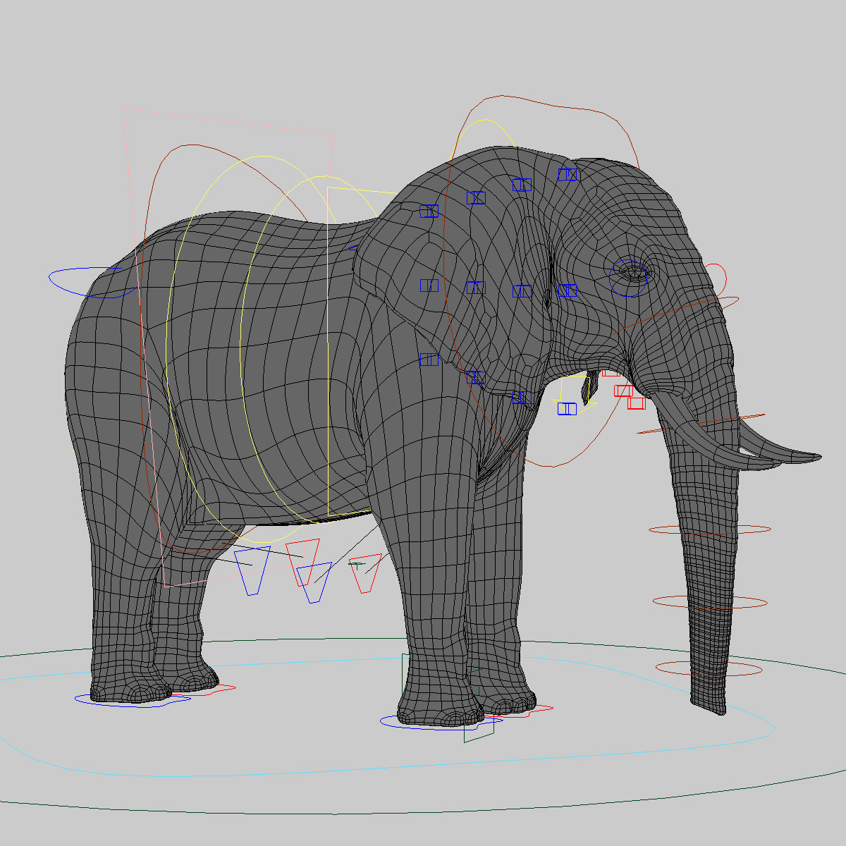 3d photorealistic african elephant rigged model