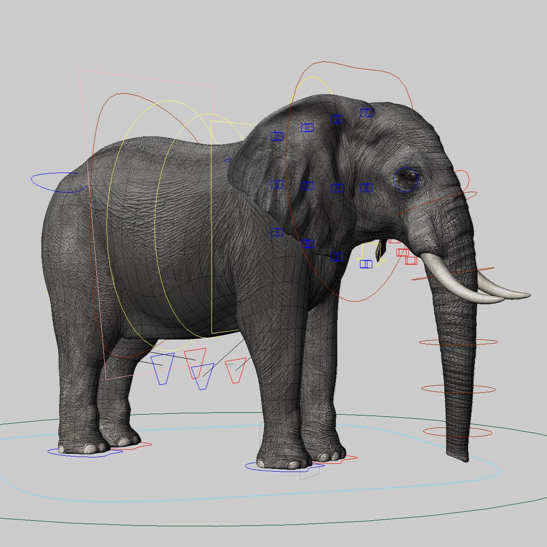3d Photorealistic African Elephant Rigged Model