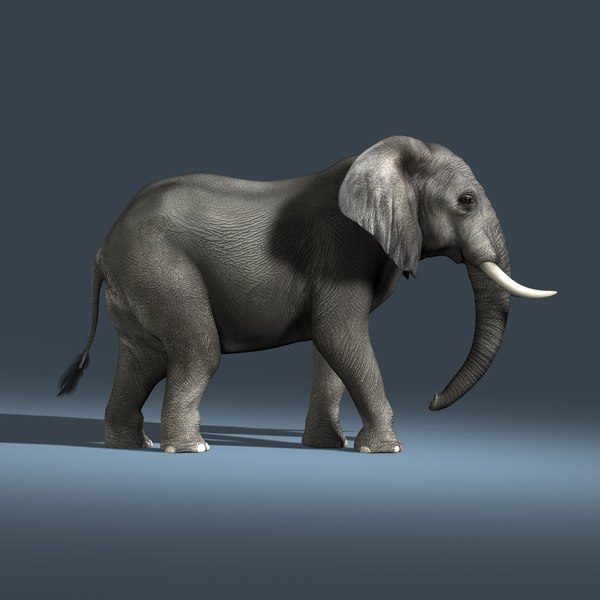 3d photorealistic african elephant rigged model