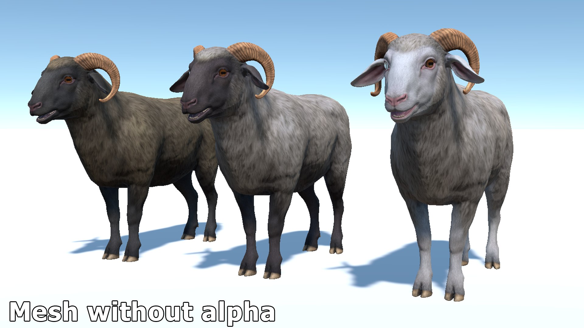 Ram 3D Model - TurboSquid 2350242