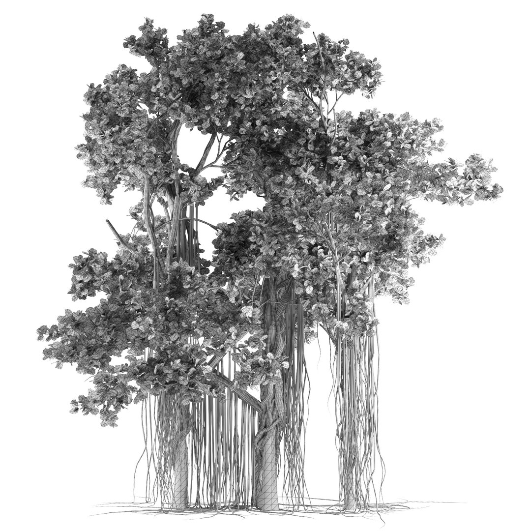3D Ficus Retusa Decoration Tree Model - TurboSquid 2114571