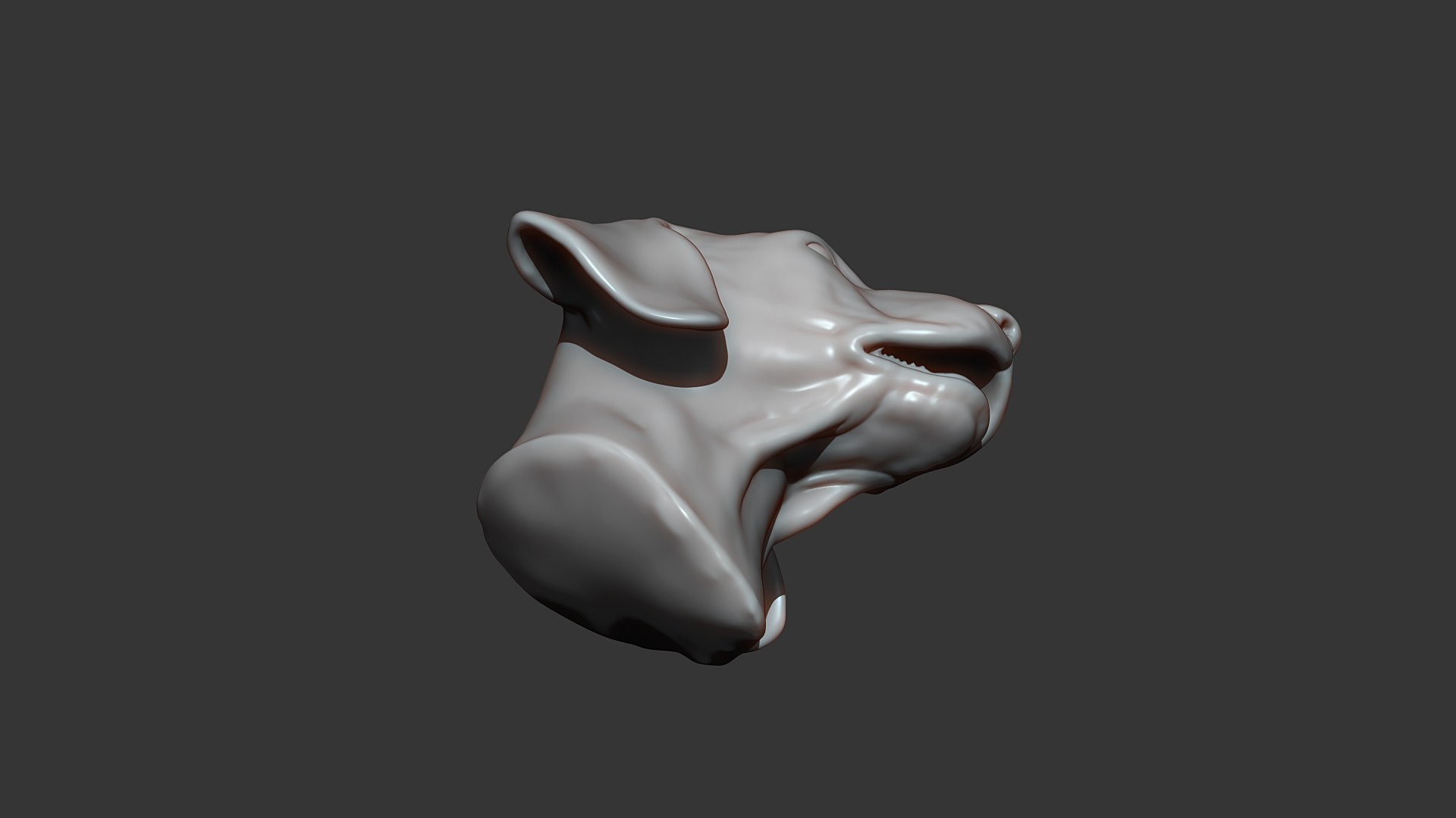 3D Dog Puppy Head Highpoly Sculpt - TurboSquid 1818437