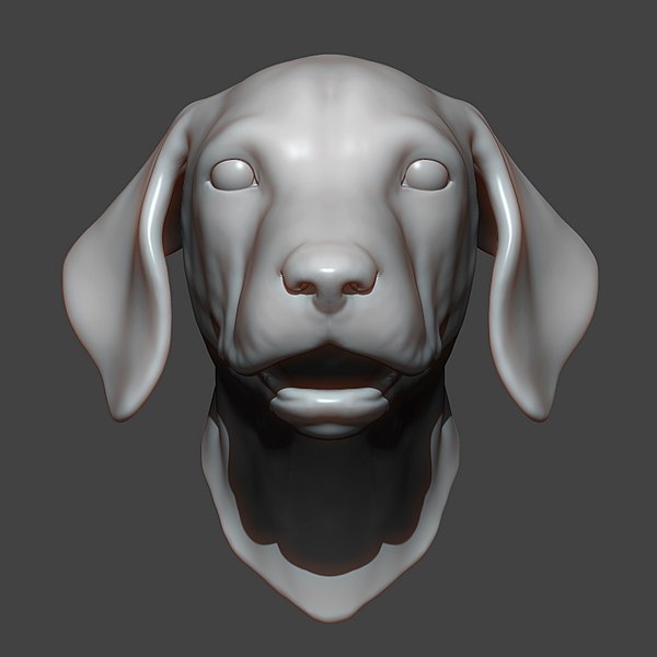 3D model Dog Puppy Rear Leg Highpoly Sculpt - TurboSquid 1818442