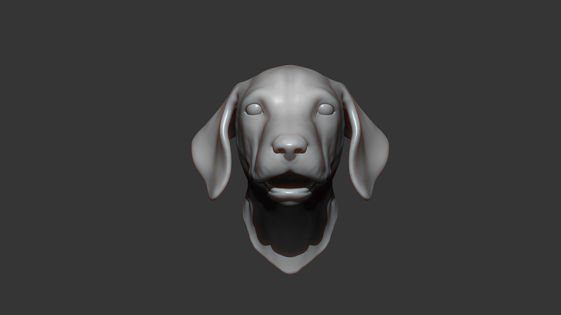 3D Dog Puppy Head Highpoly Sculpt - TurboSquid 1818437