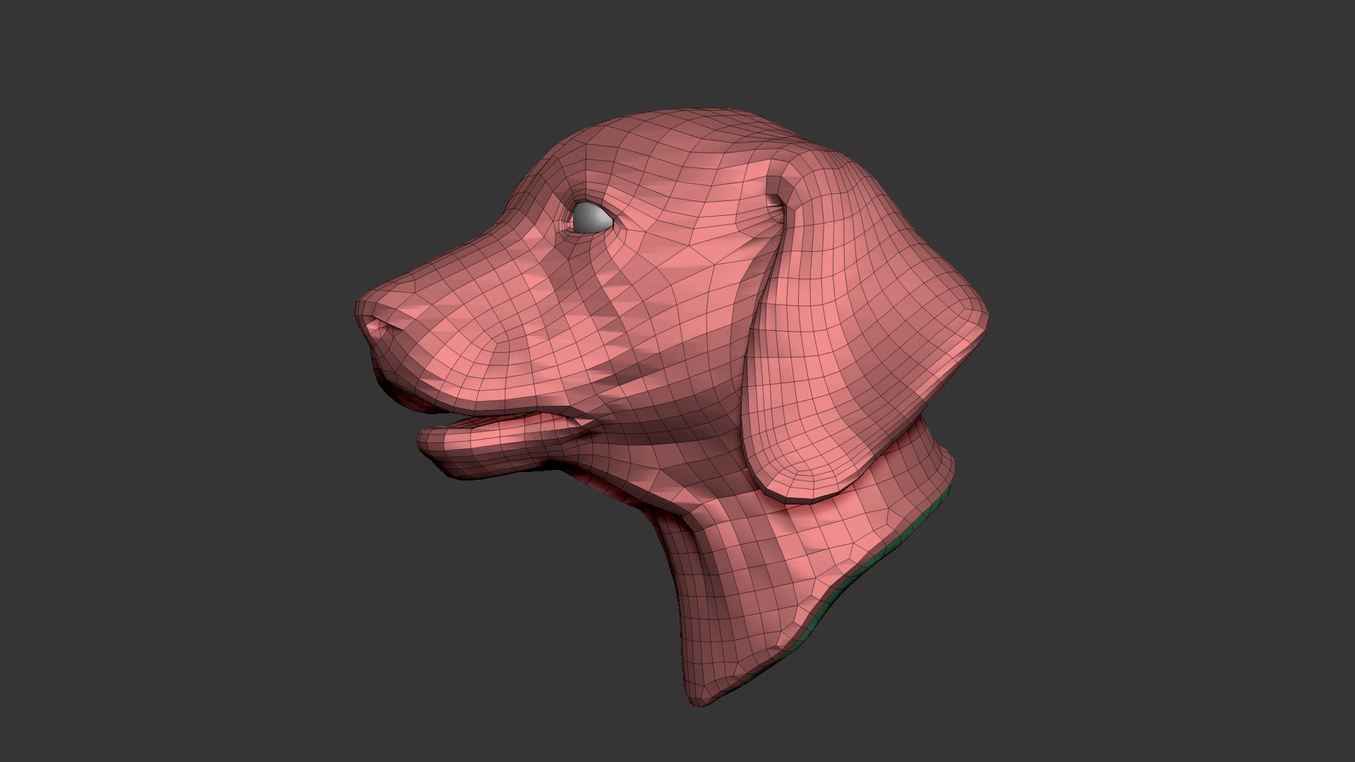 3D Dog Puppy Head Highpoly Sculpt - TurboSquid 1818437