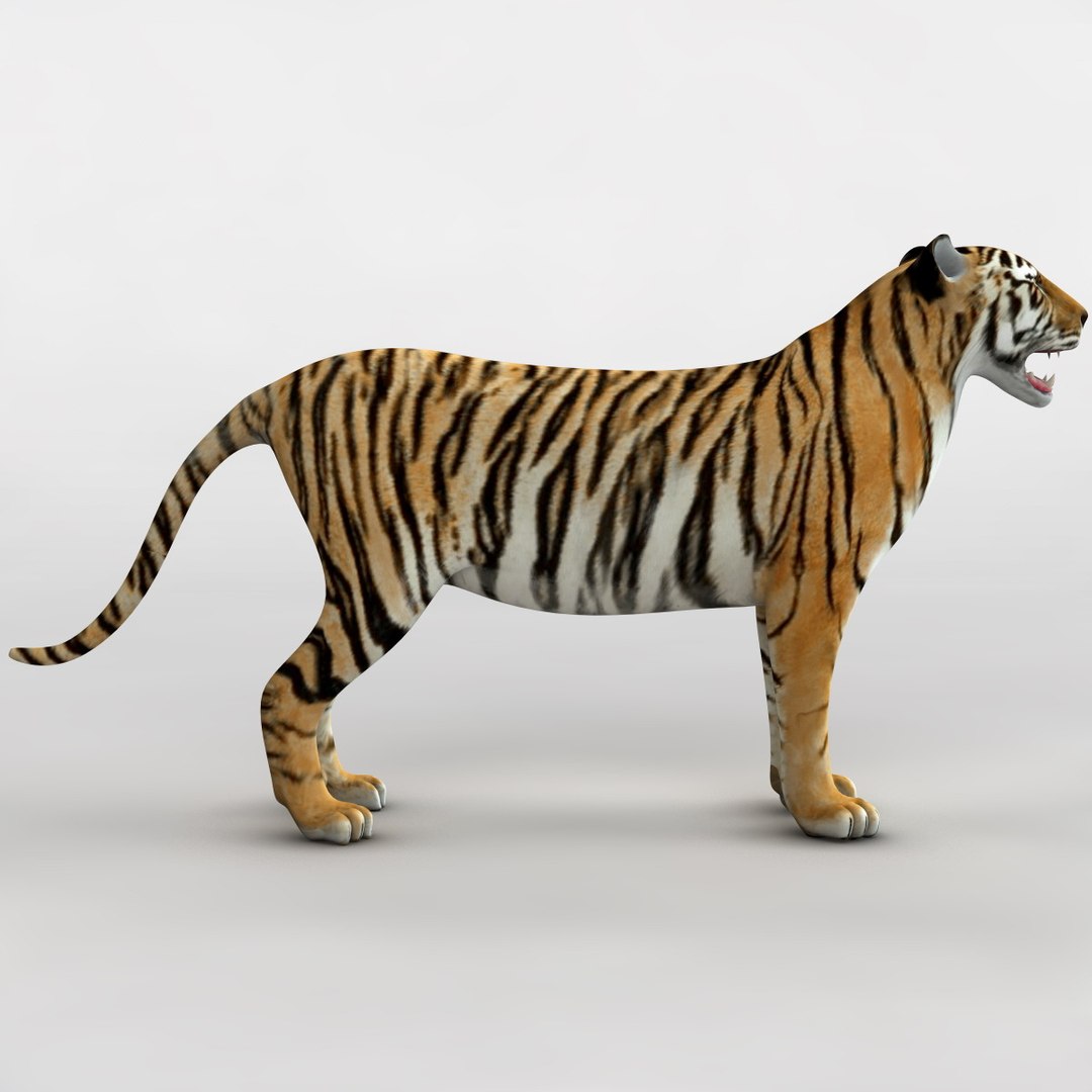 tiger 2 3ds