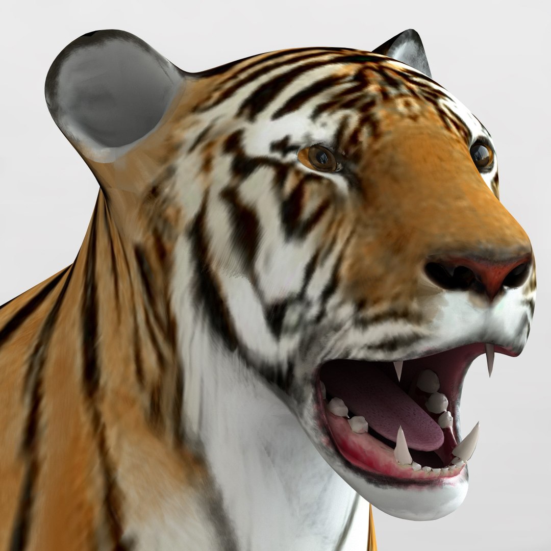 tiger 2 3ds