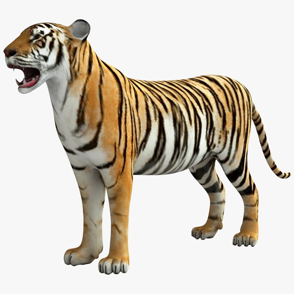 tiger 2 3ds