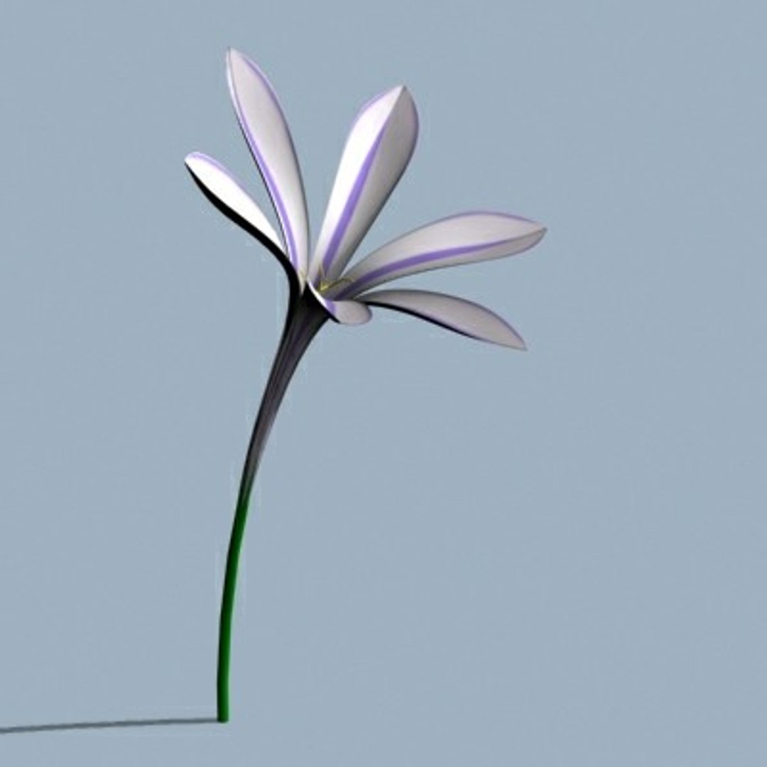 3d Model Realistic Flower Animation Open