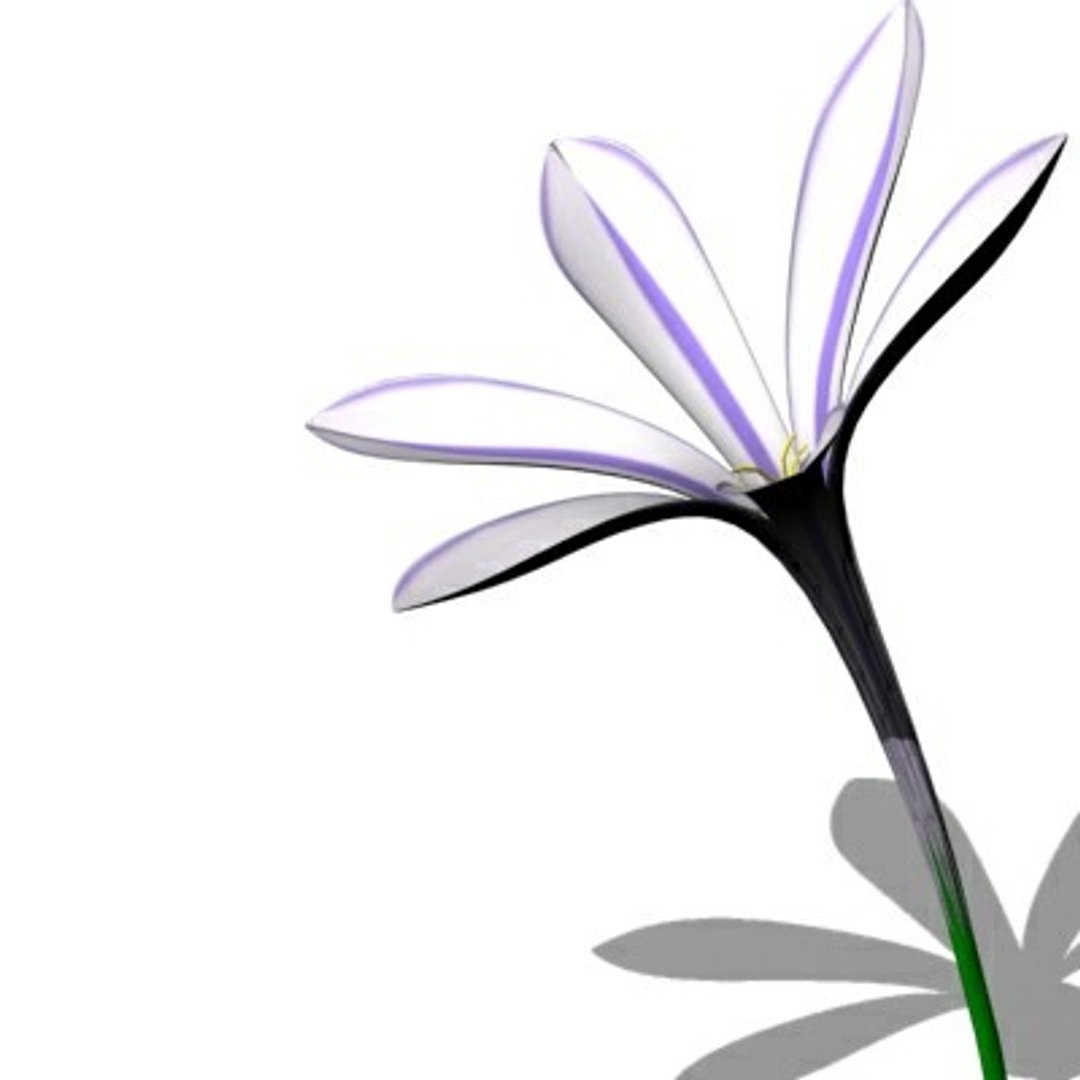 3d Model Realistic Flower Animation Open