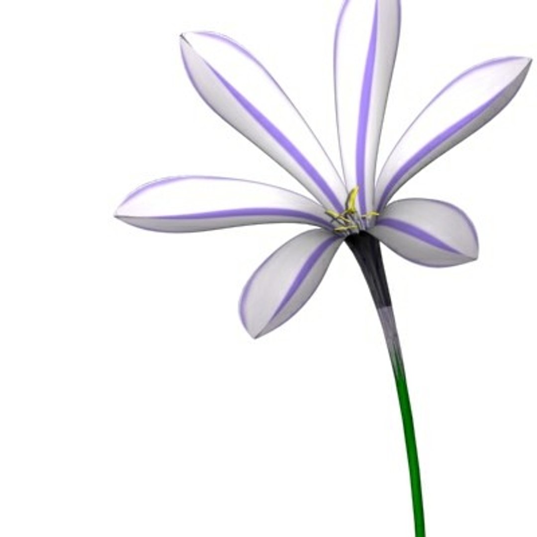 3d Model Realistic Flower Animation Open