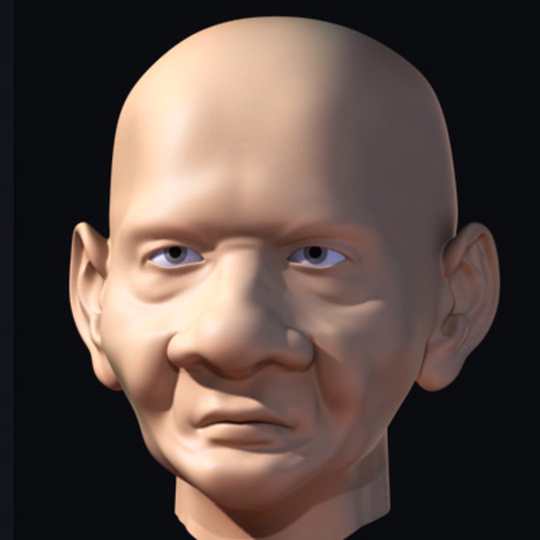 Old Male Head 3d Model