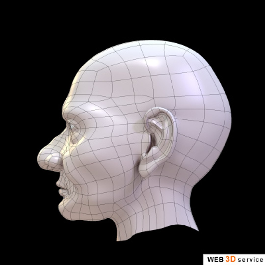 Old Male Head 3d Model