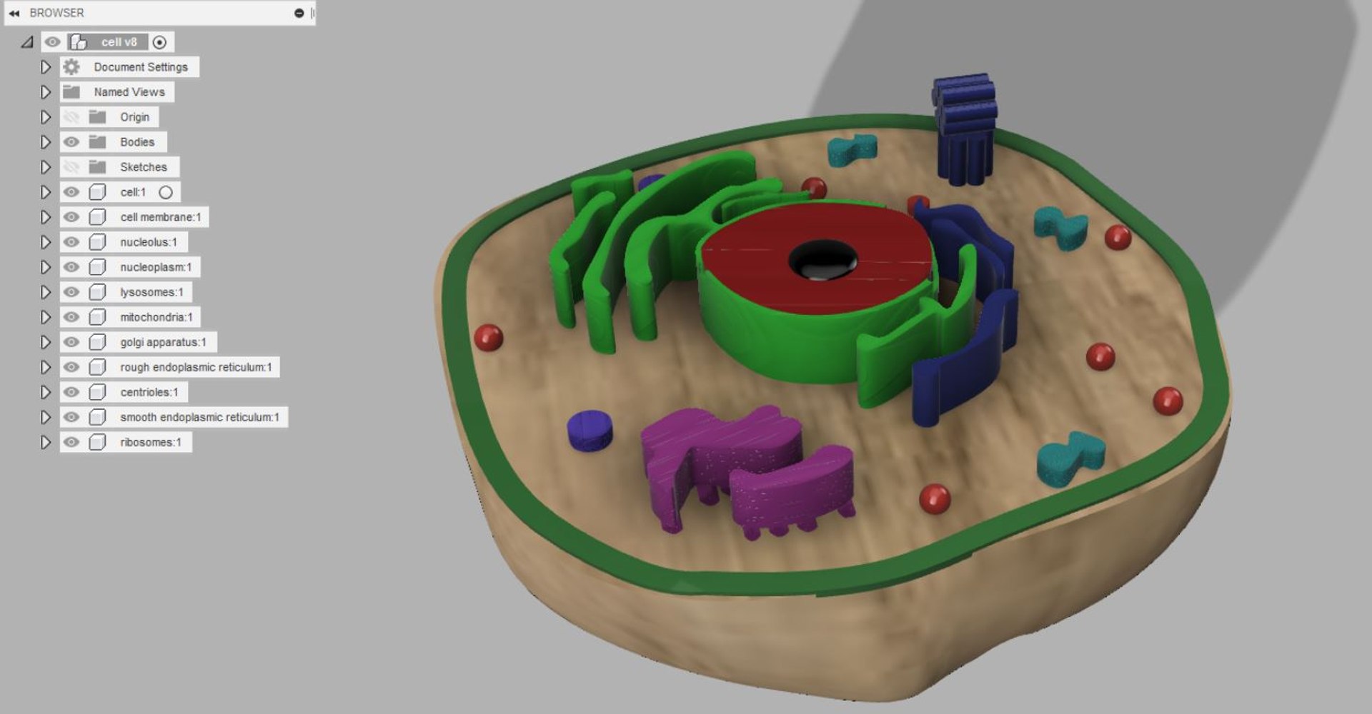 3D Animal cell - TurboSquid 1759983
