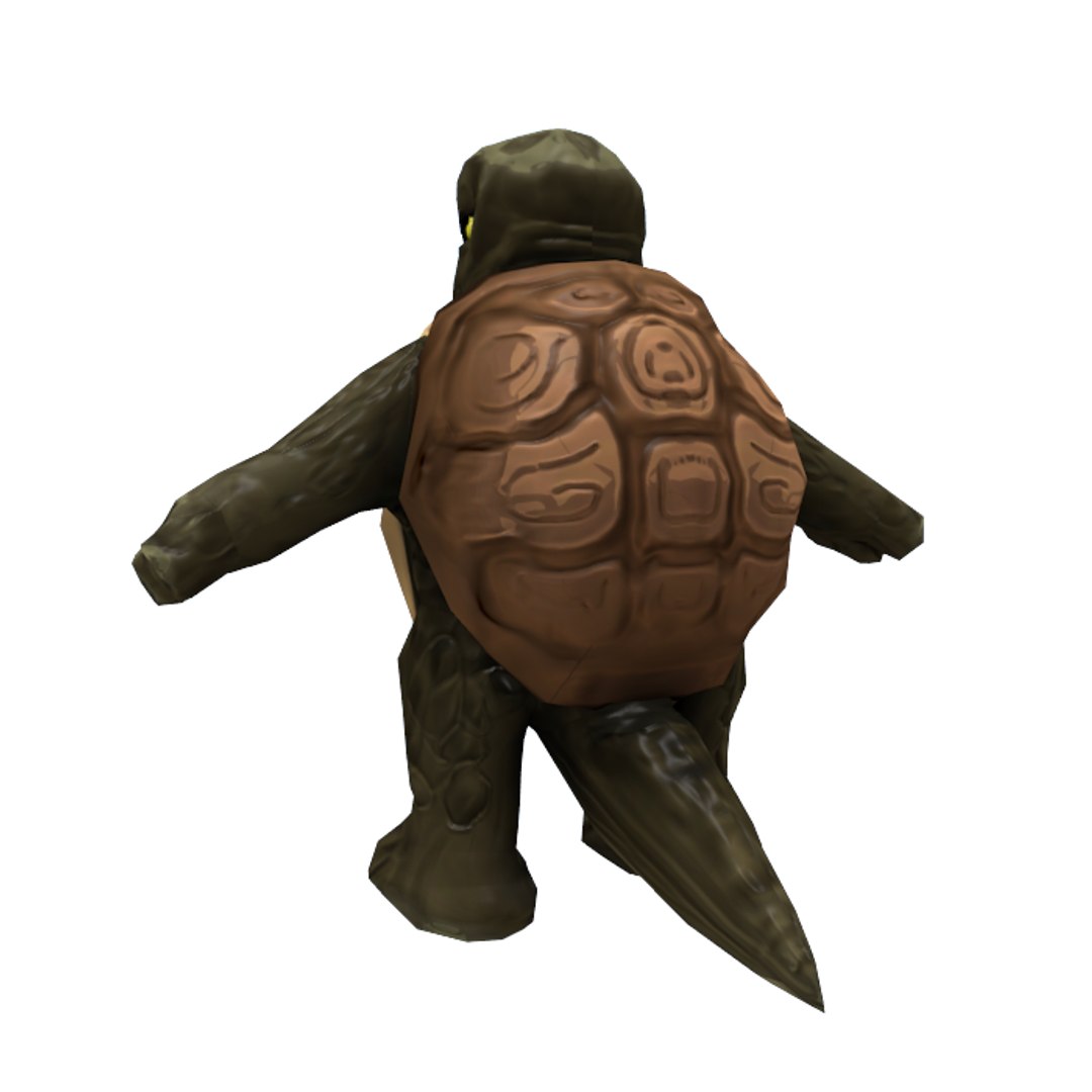 Turtle Monster 3D Model - TurboSquid 1414632