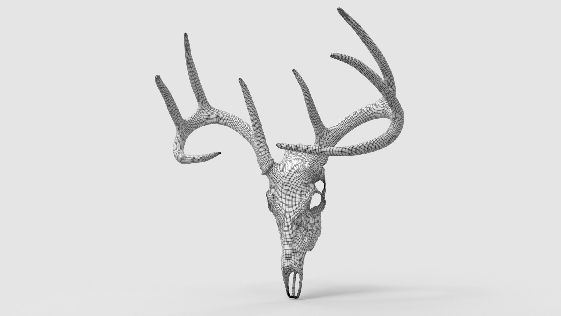 3D Deer Skull Sci-fi Hot Model - TurboSquid 1896291