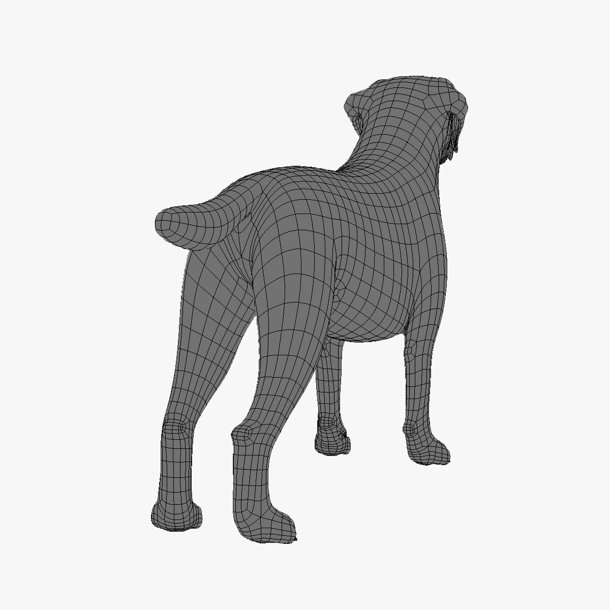 3d dog base mesh model
