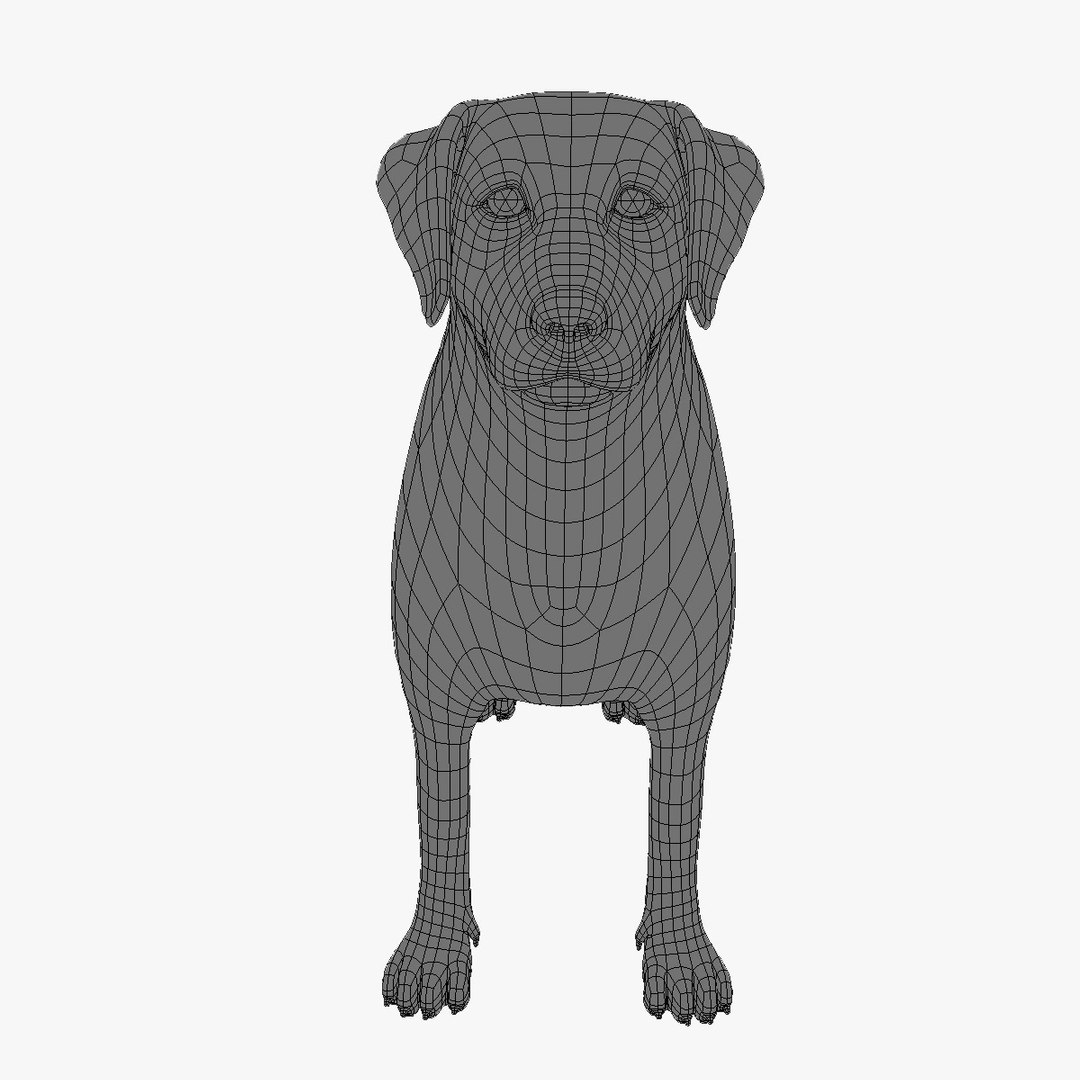 3d Dog Base Mesh Model