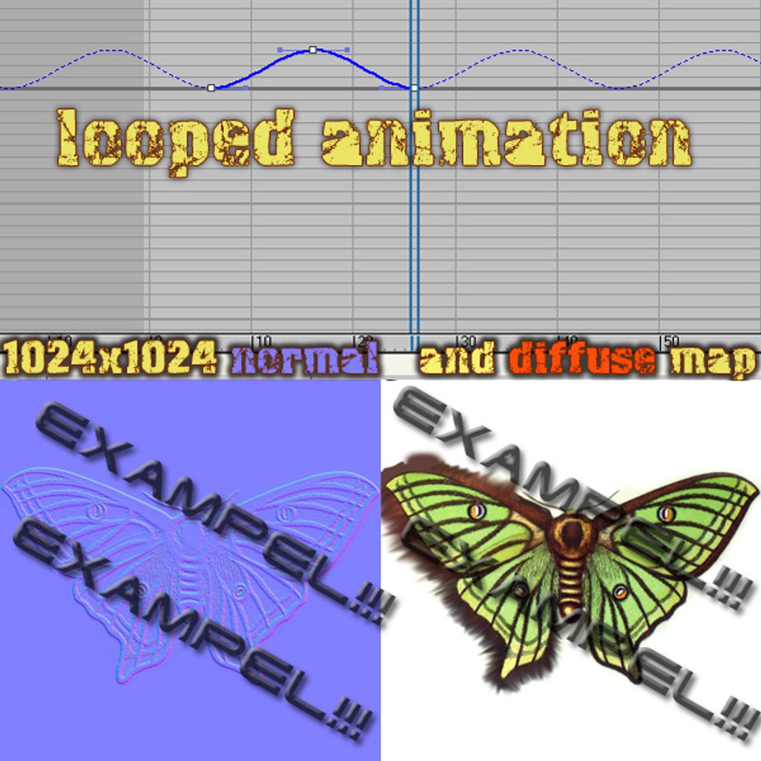 butterfly animation max