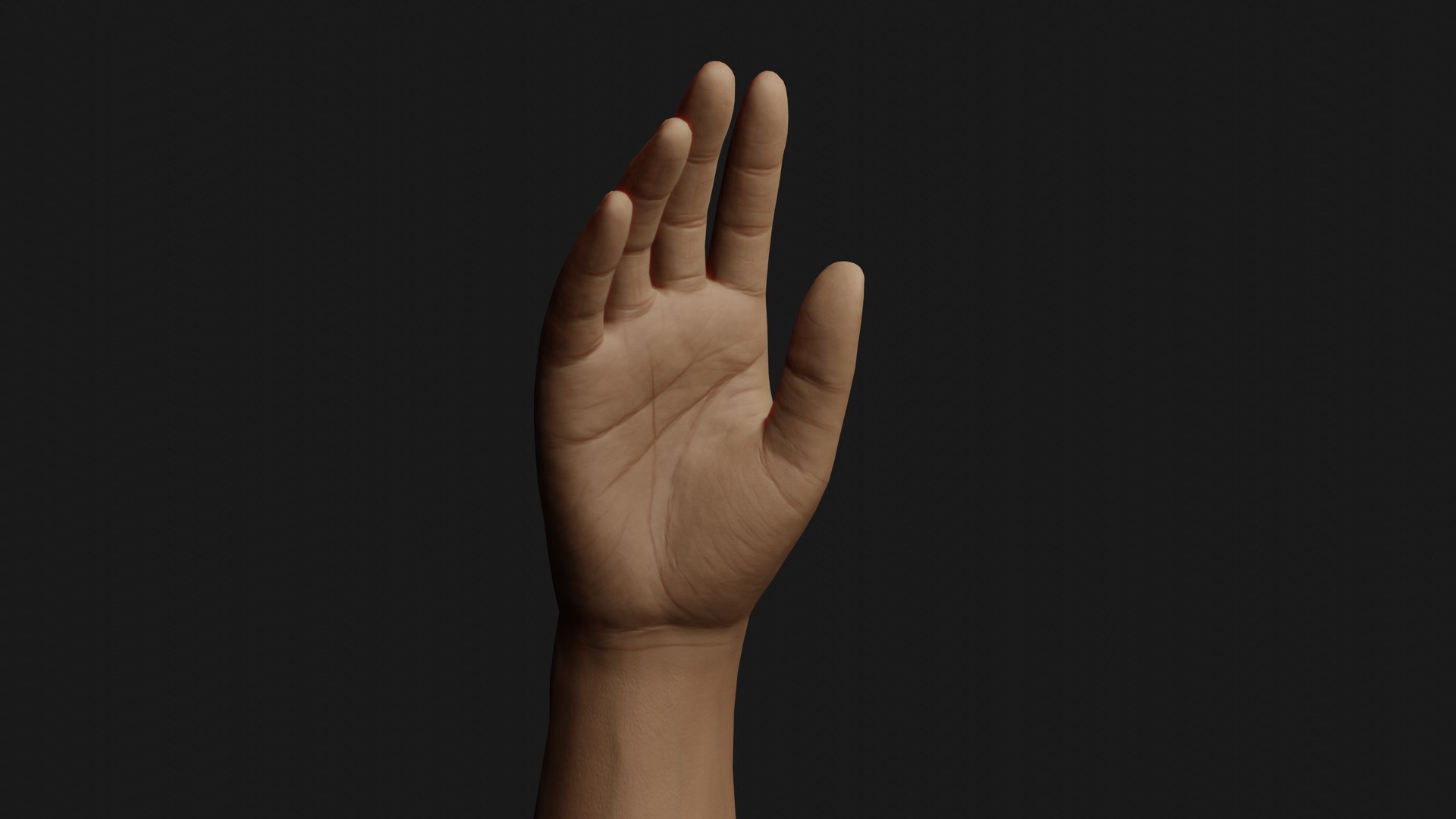 3D Model Male Right Hand Rigged - TurboSquid 1748794