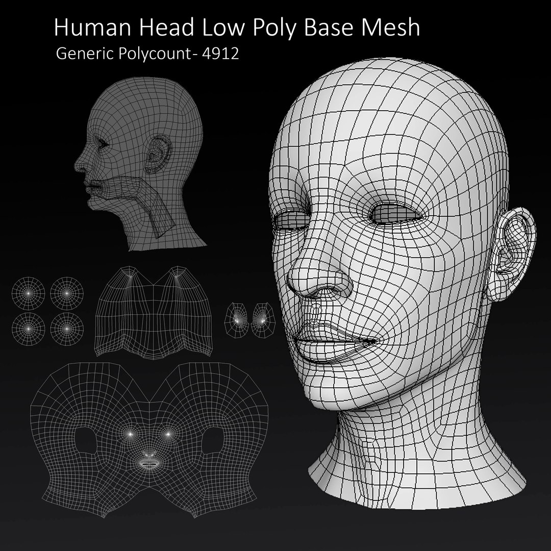 3D Head Base Mesh - TurboSquid 1271218