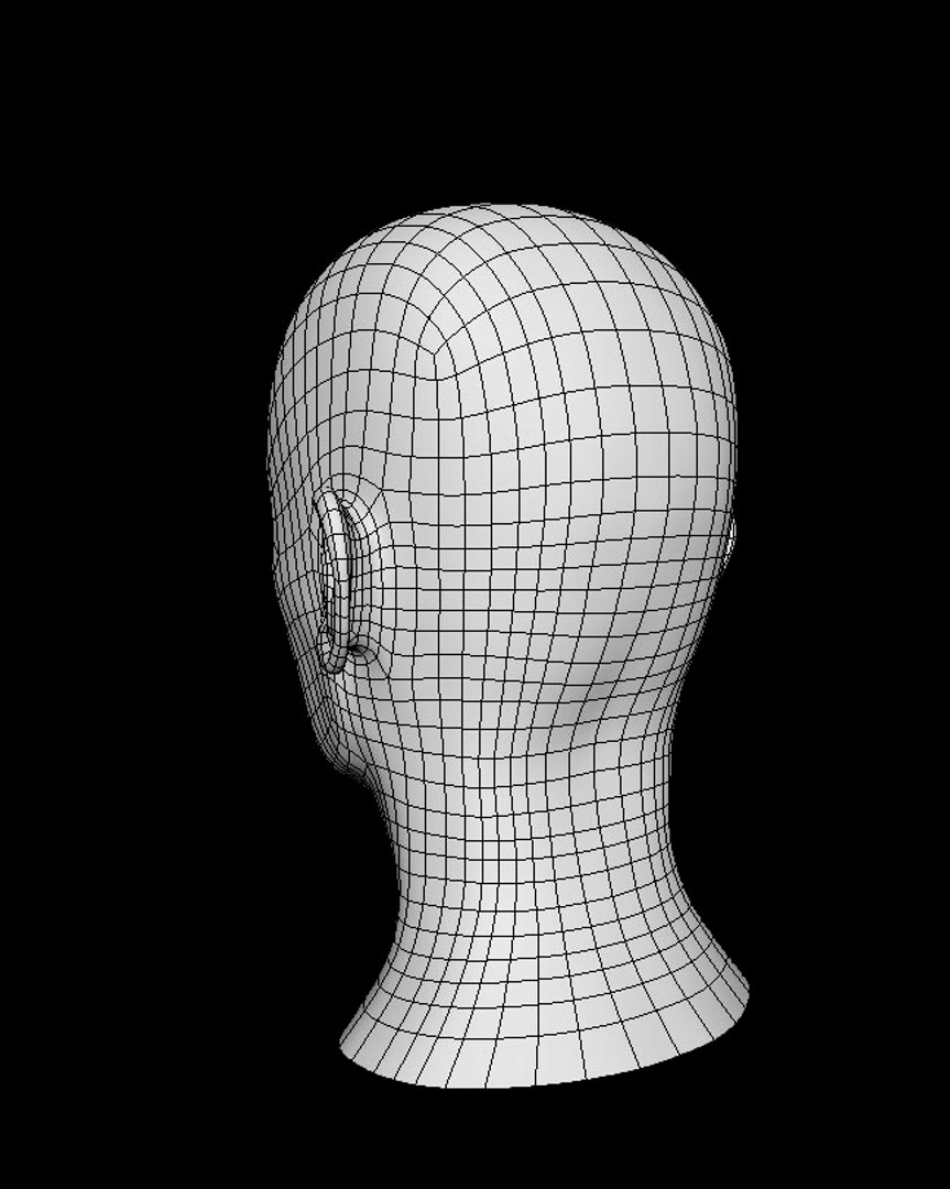 3D Head Base Mesh - TurboSquid 1271218