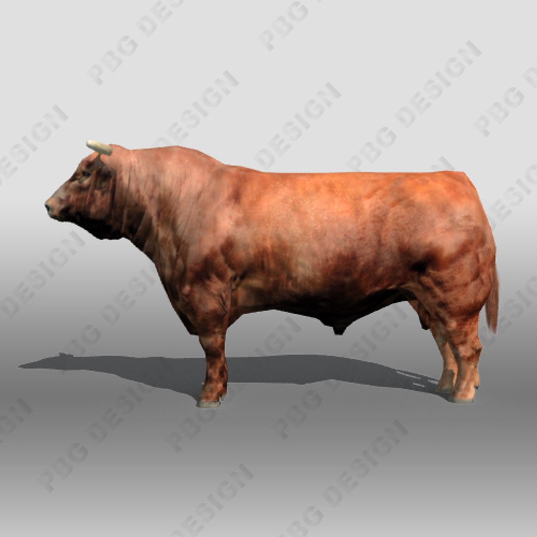 bull black red 3d model