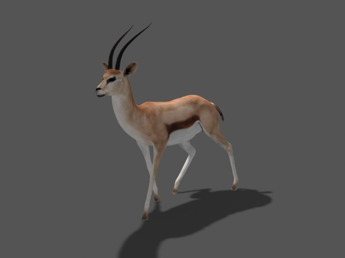 3d Model Gazelle