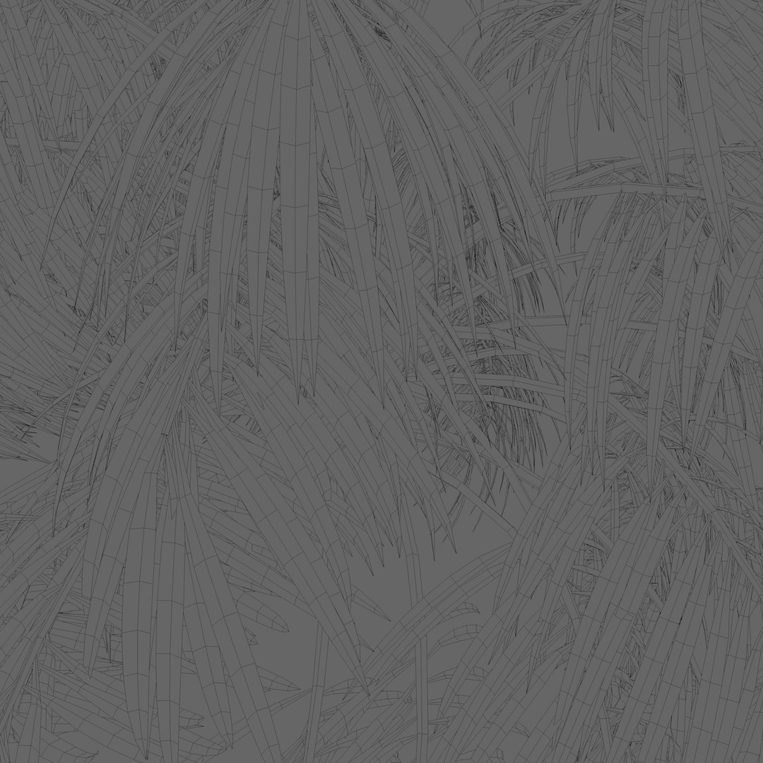 3D Model Curvy Palm Tree - TurboSquid 1280195