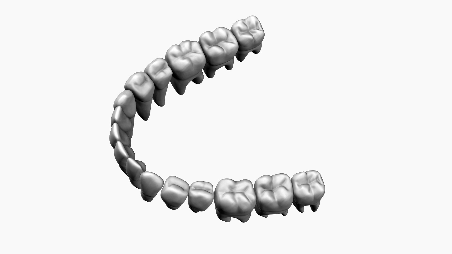 3D Detailed High Poly Human Skull - TurboSquid 1924261