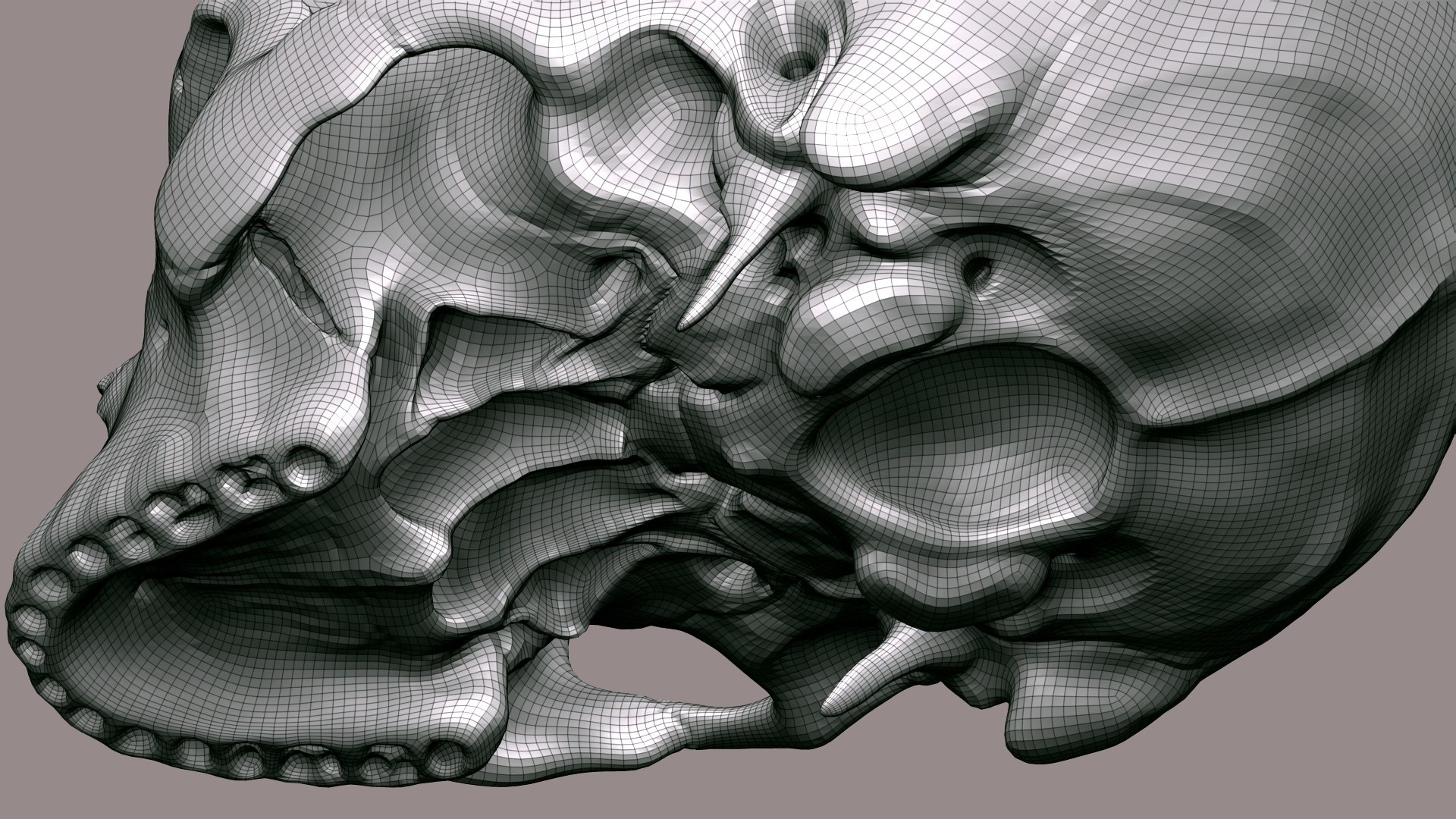 3D Detailed High Poly Human Skull - TurboSquid 1924261