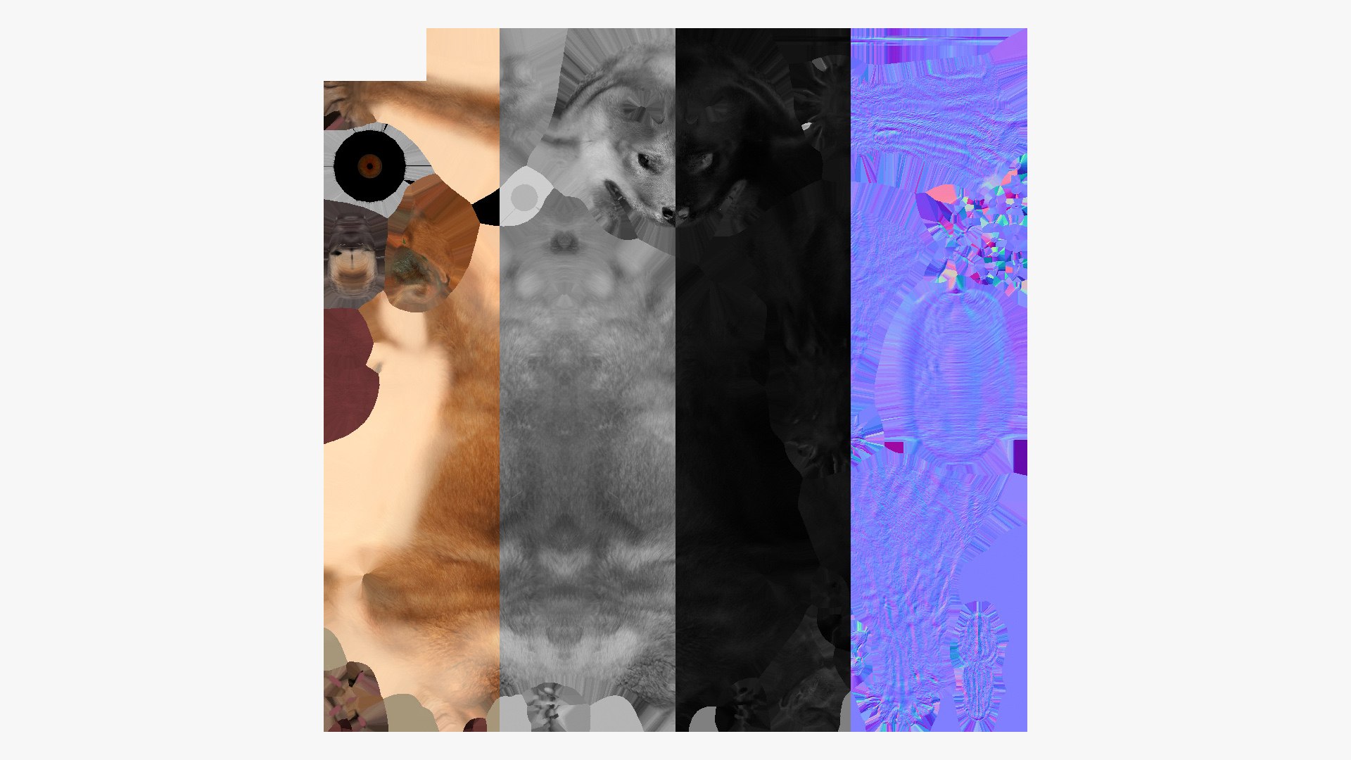 3D Dingo Model - TurboSquid 2074289