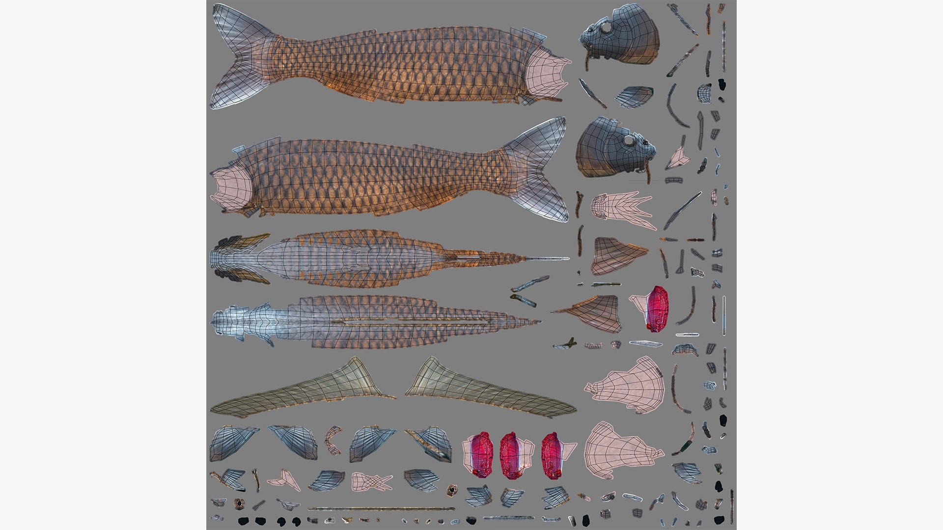 Common Carp Wild Variety Model - TurboSquid 1746564