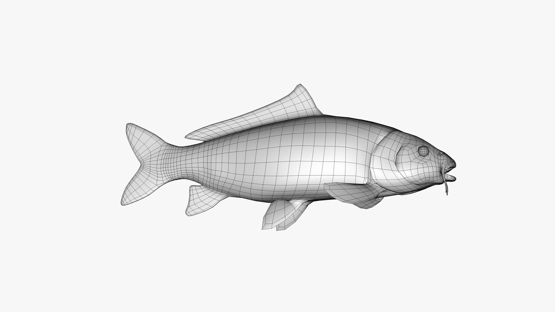 Common Carp Wild Variety Model - TurboSquid 1746564