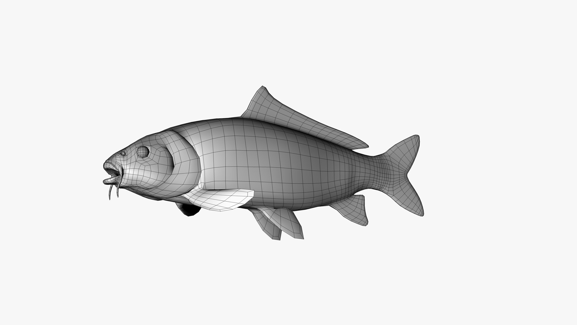 Common Carp Wild Variety Model - TurboSquid 1746564