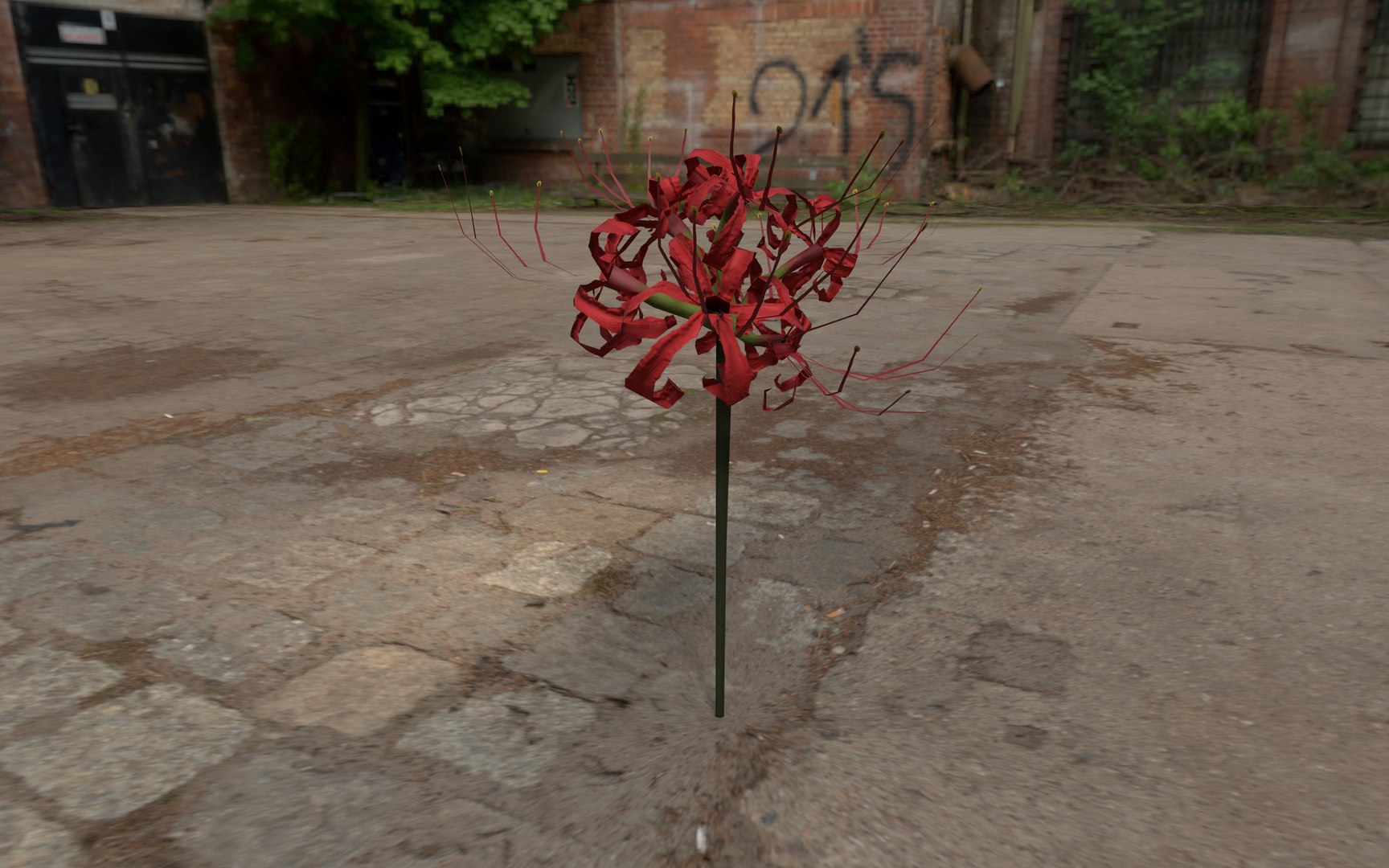 3D Spider Lily - TurboSquid 1842523