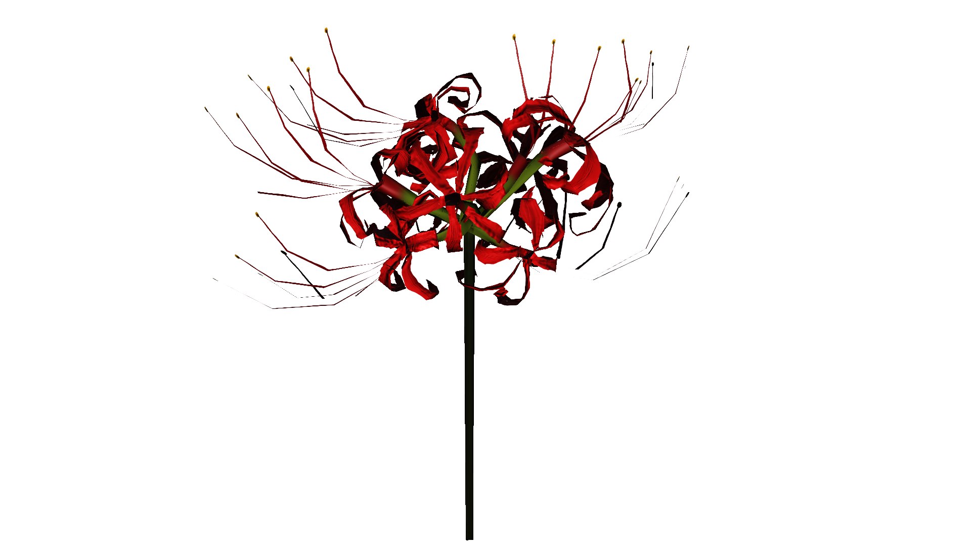 3D Spider Lily - TurboSquid 1842523