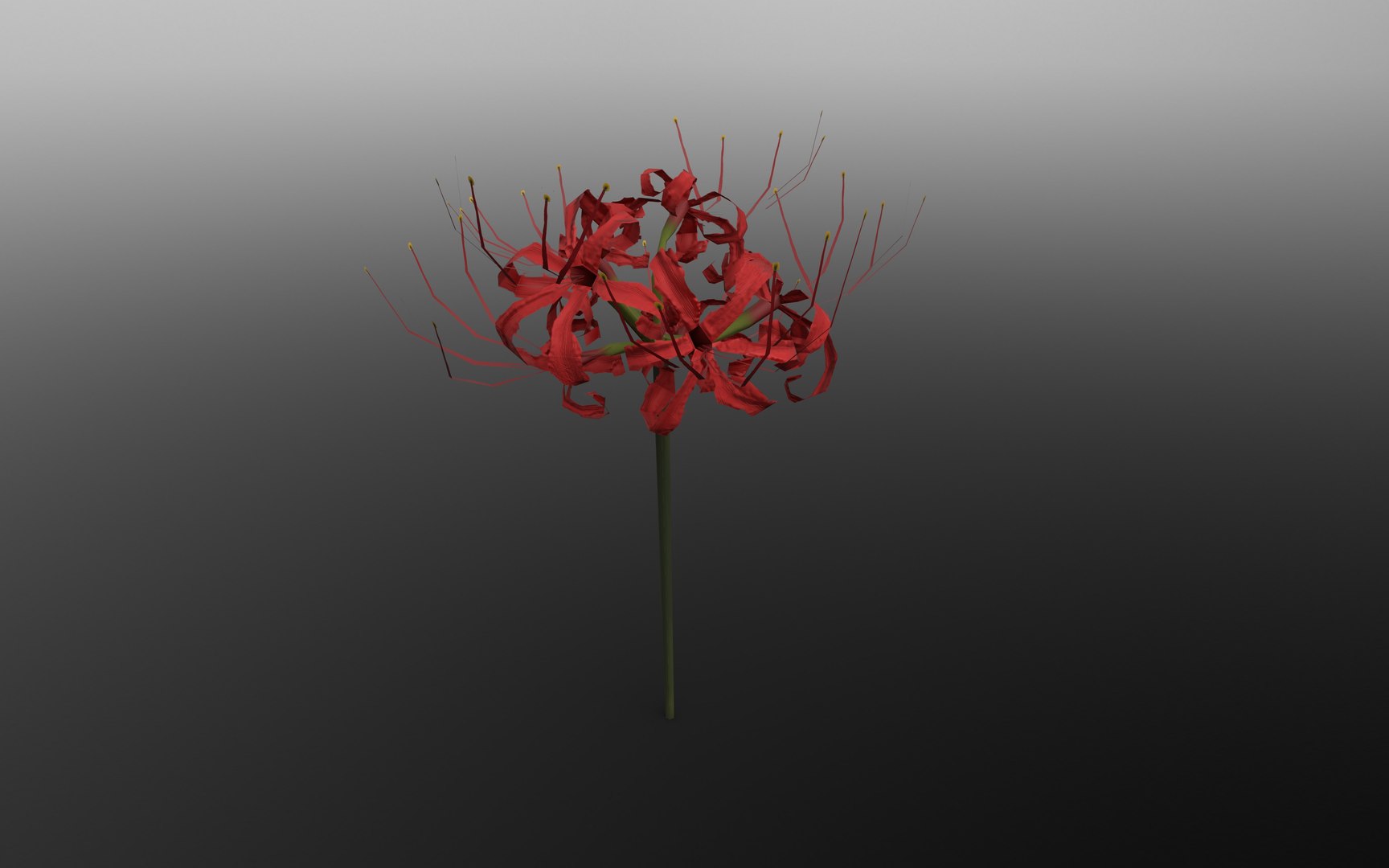 3D Spider Lily - TurboSquid 1842523
