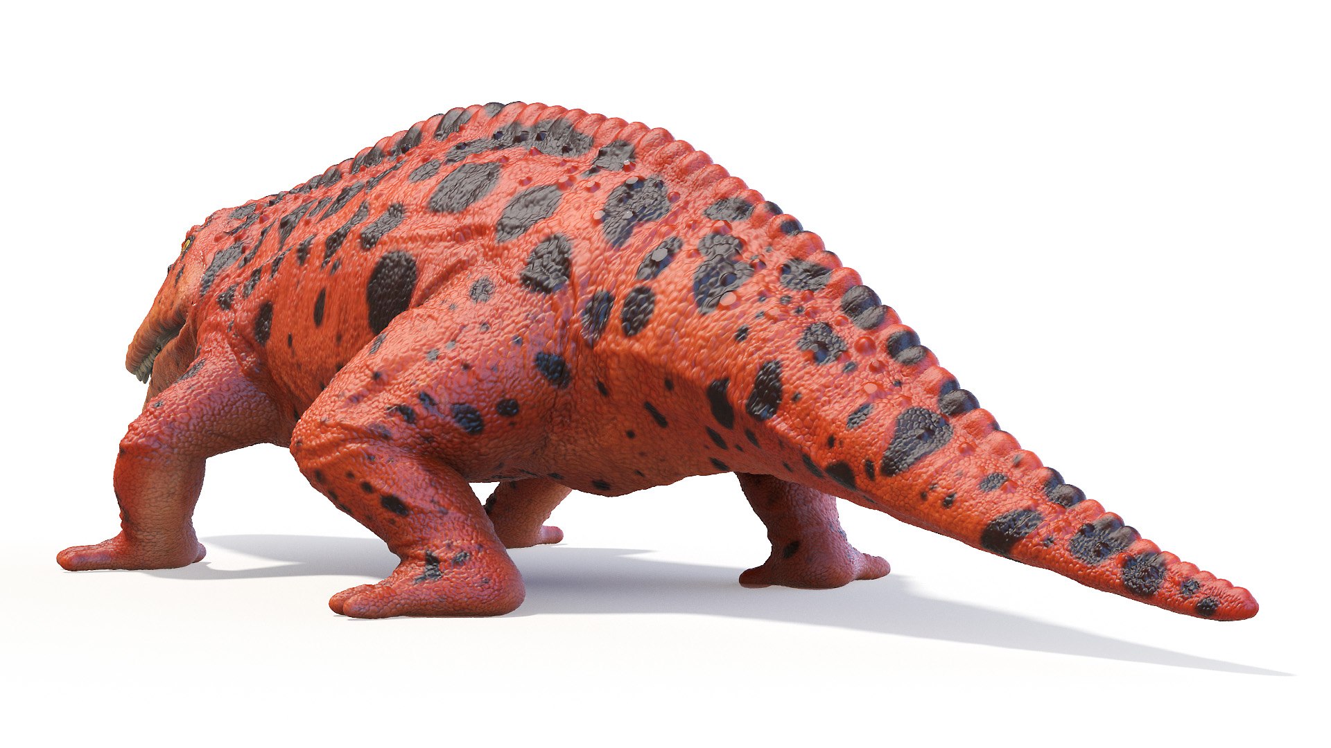 3D Eryops Static - TurboSquid 1899414