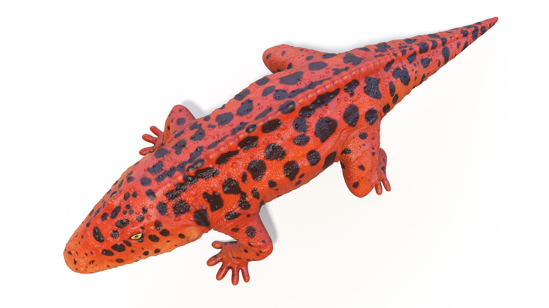 3D Eryops Static - TurboSquid 1899414