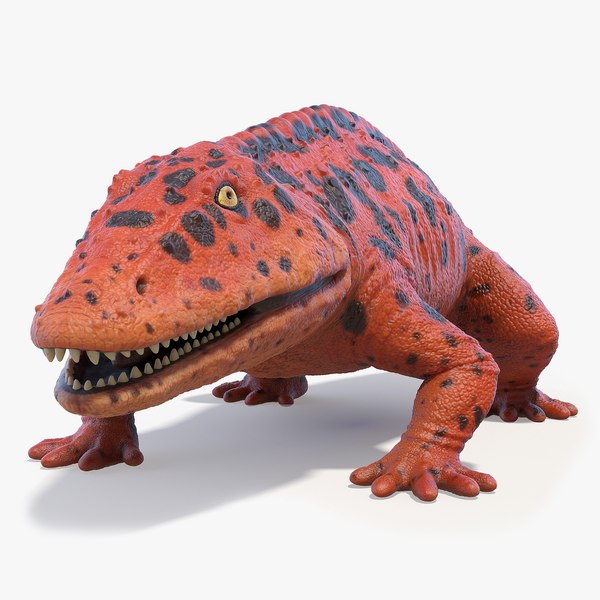 3D dimetrodon - TurboSquid 1631531