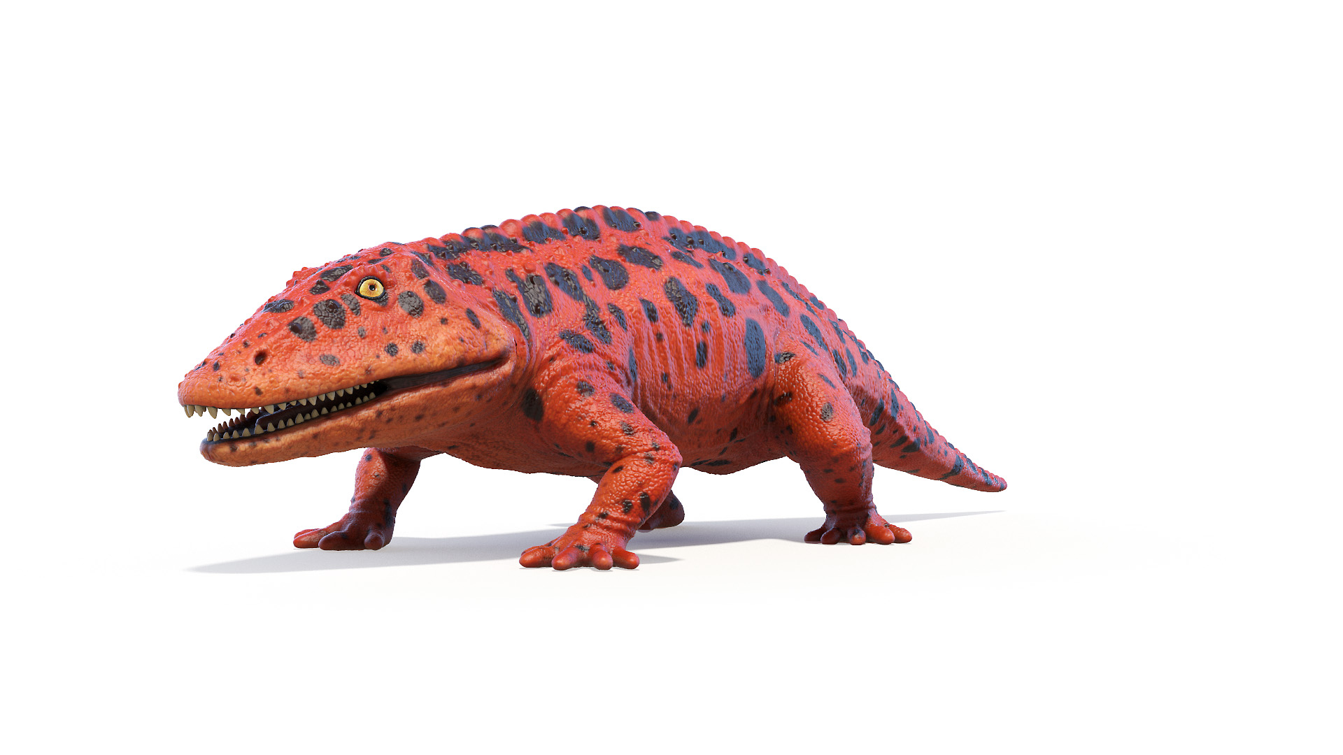 3D Eryops Static - TurboSquid 1899414