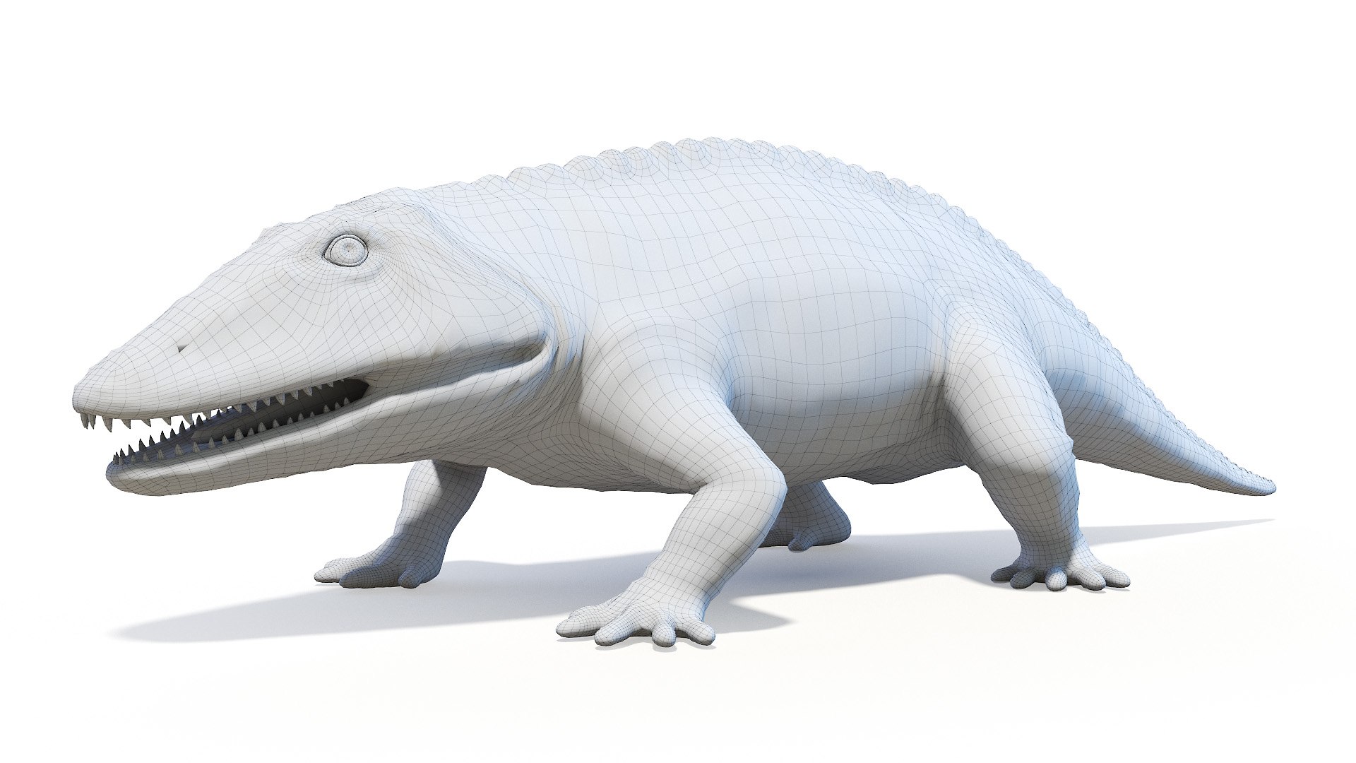 3D Eryops Static - TurboSquid 1899414