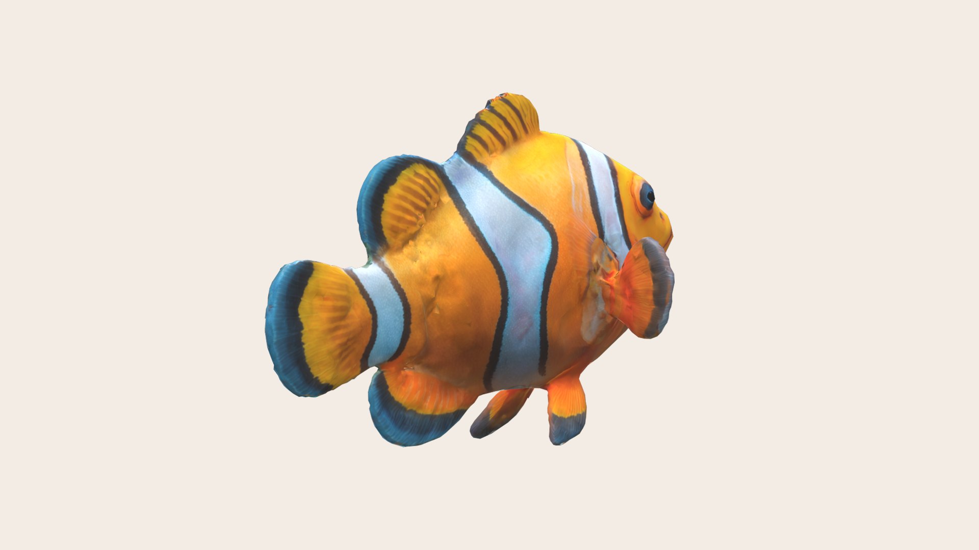 Clownfish White 3D - TurboSquid 2271411