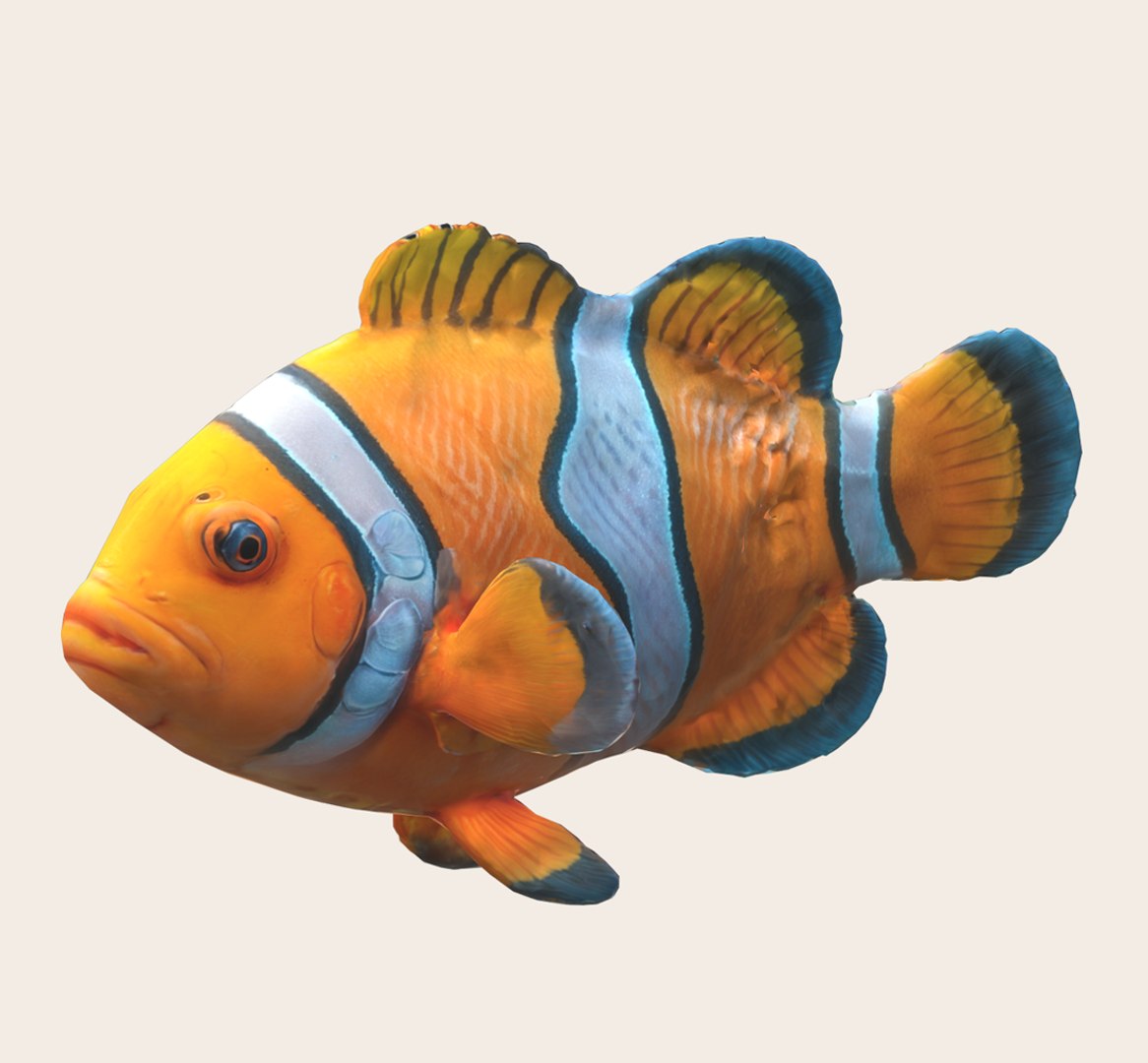 Clownfish White 3D - TurboSquid 2271411