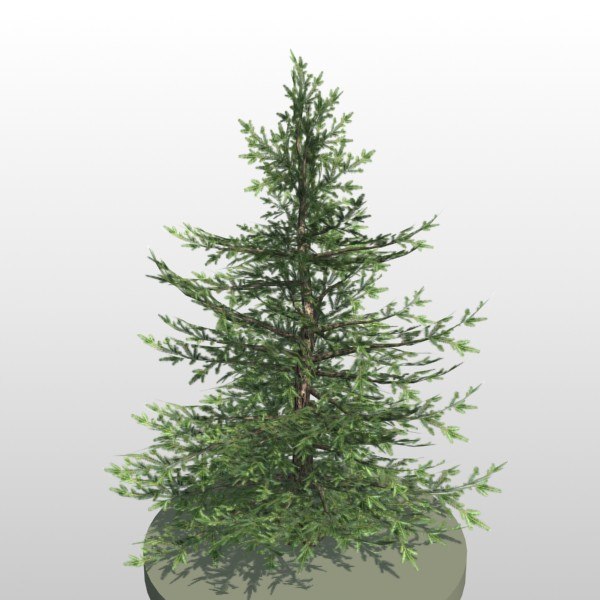 pine tree 3d 3ds