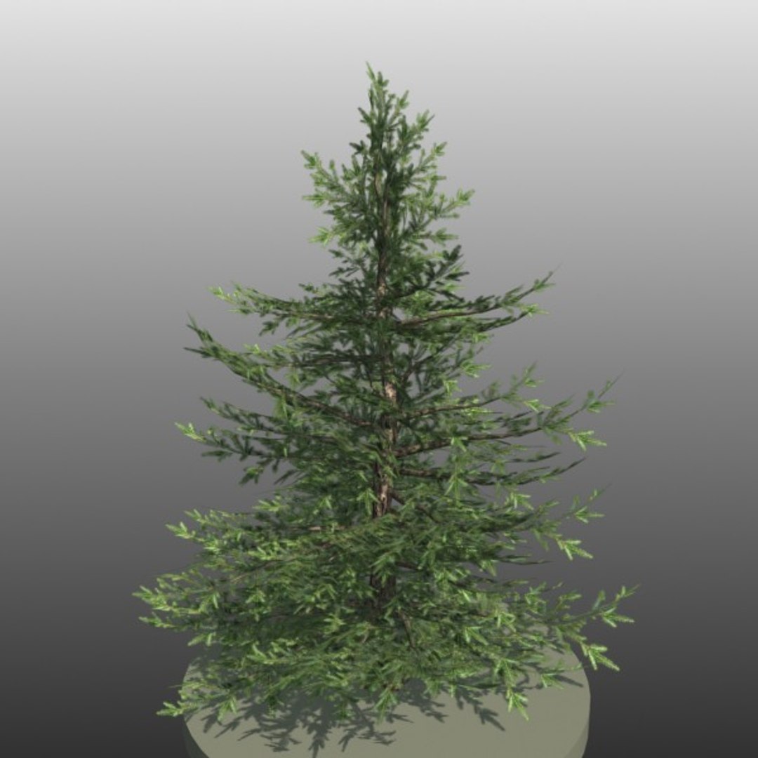 pine tree 3d 3ds