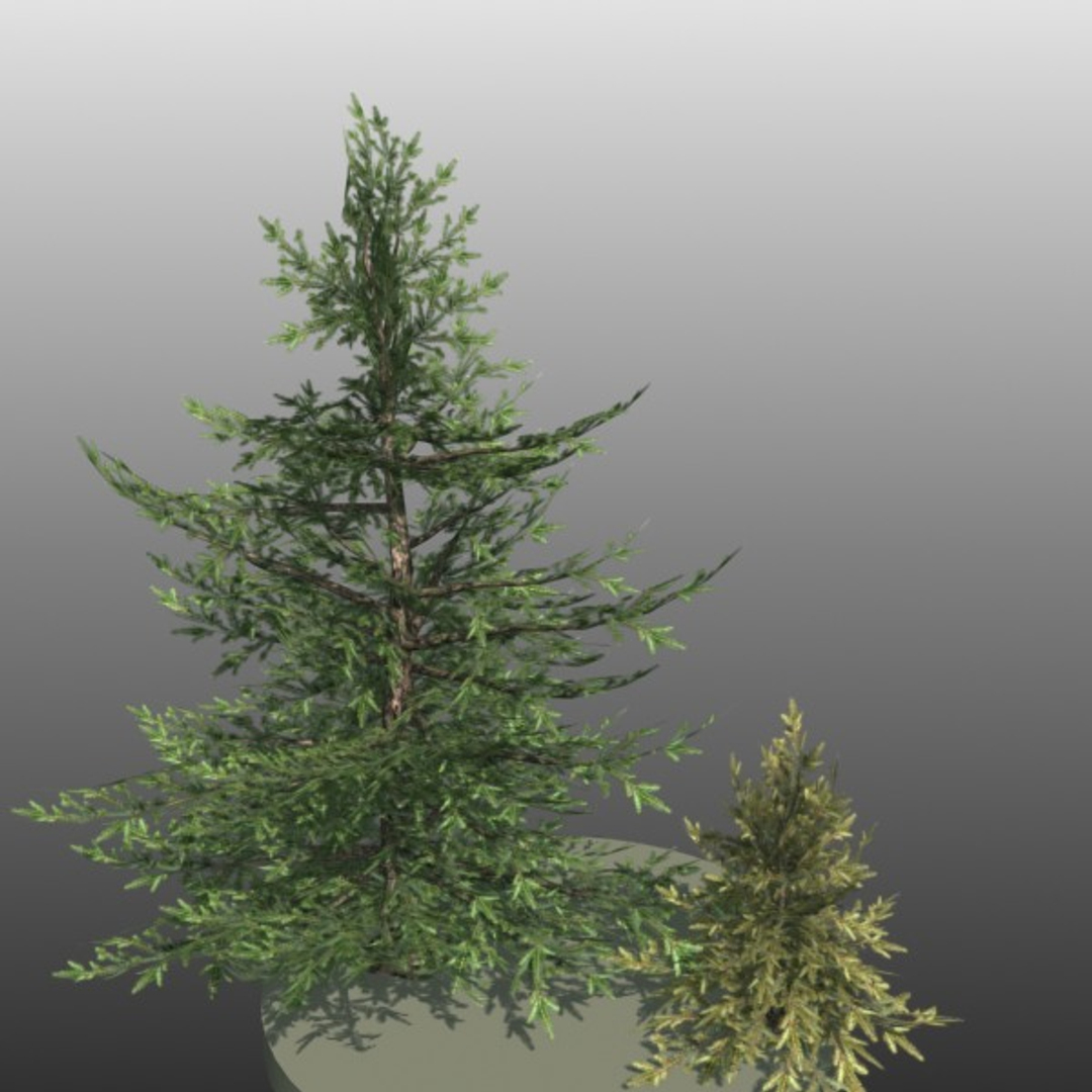 pine tree 3d 3ds